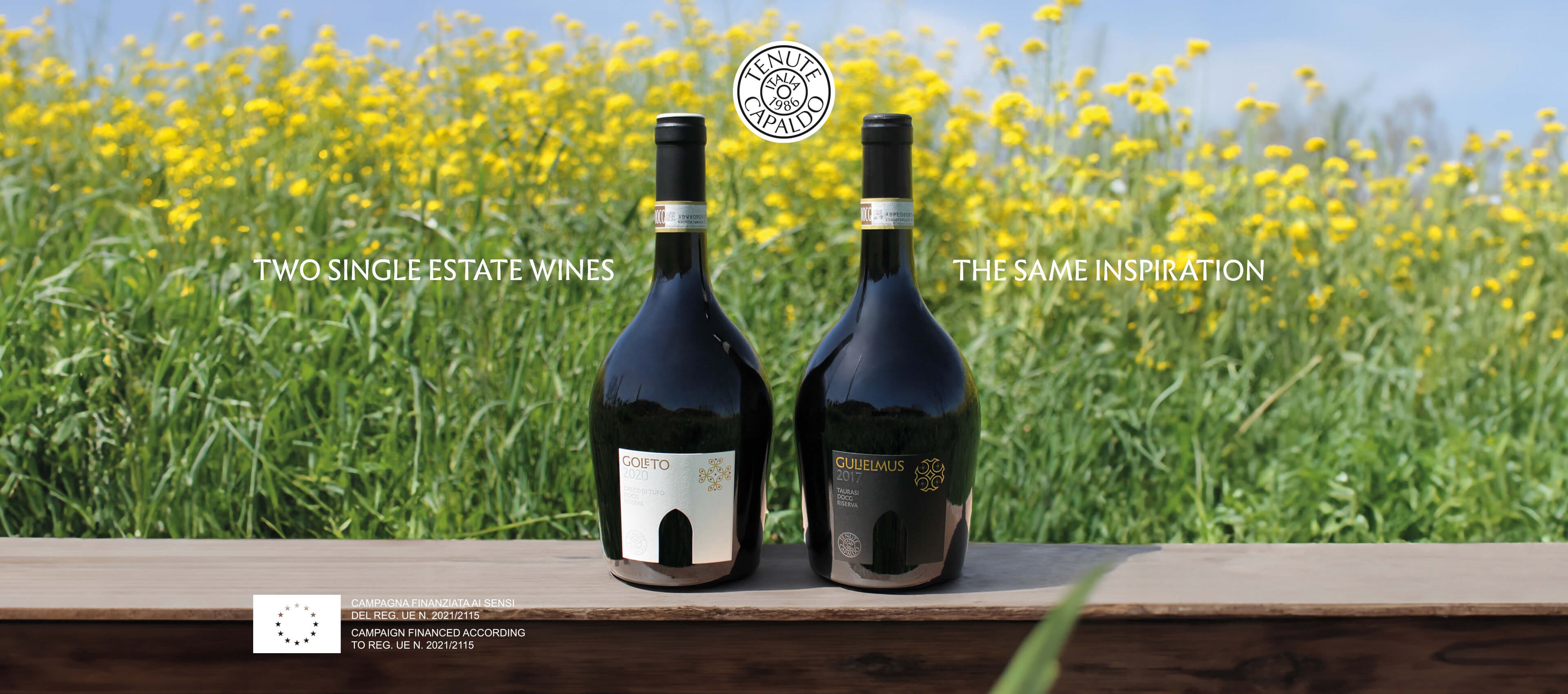 Monsieur Touton Selection - Wine Importer Distributor